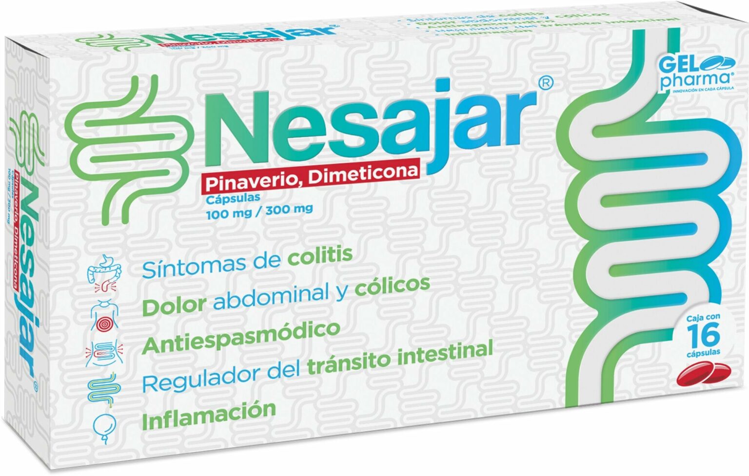 PINAVERIO / DIMETICONA 100/300 MG C/16 CAPSULAS (NESAJAR) – Farmapronto